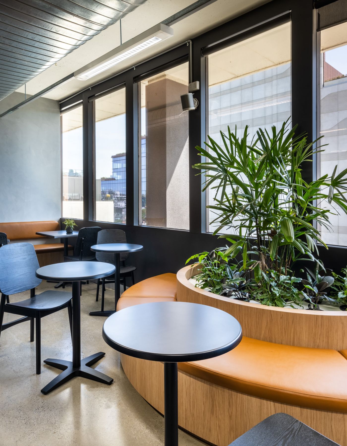 Work | Canopy Fitouts