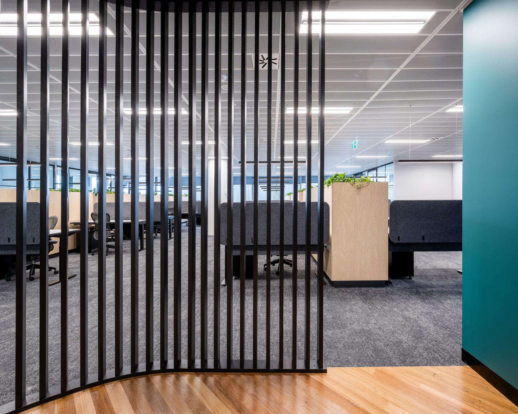 Munro Partners | Office Fitout | Canopy Fitouts