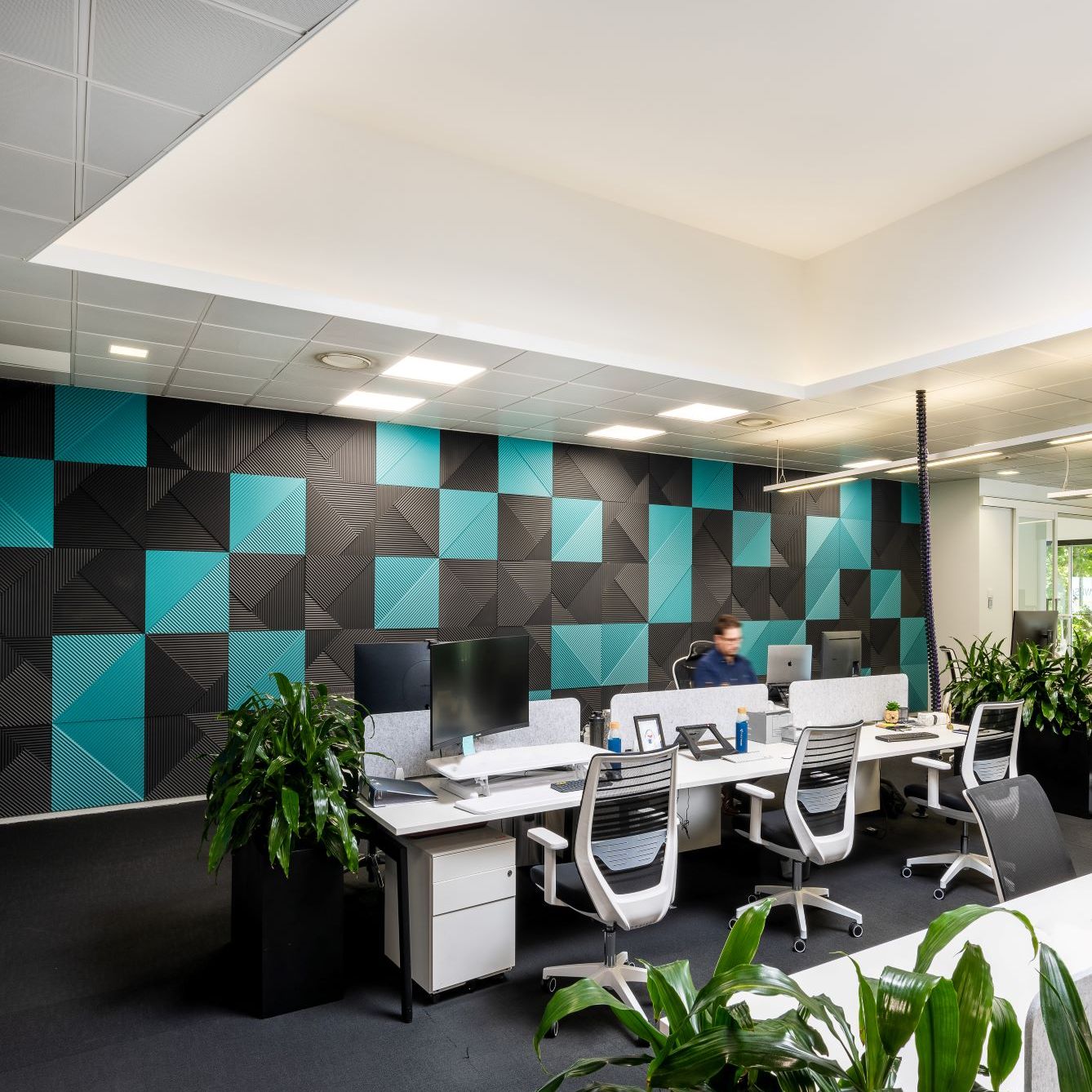 Work | Canopy Fitouts