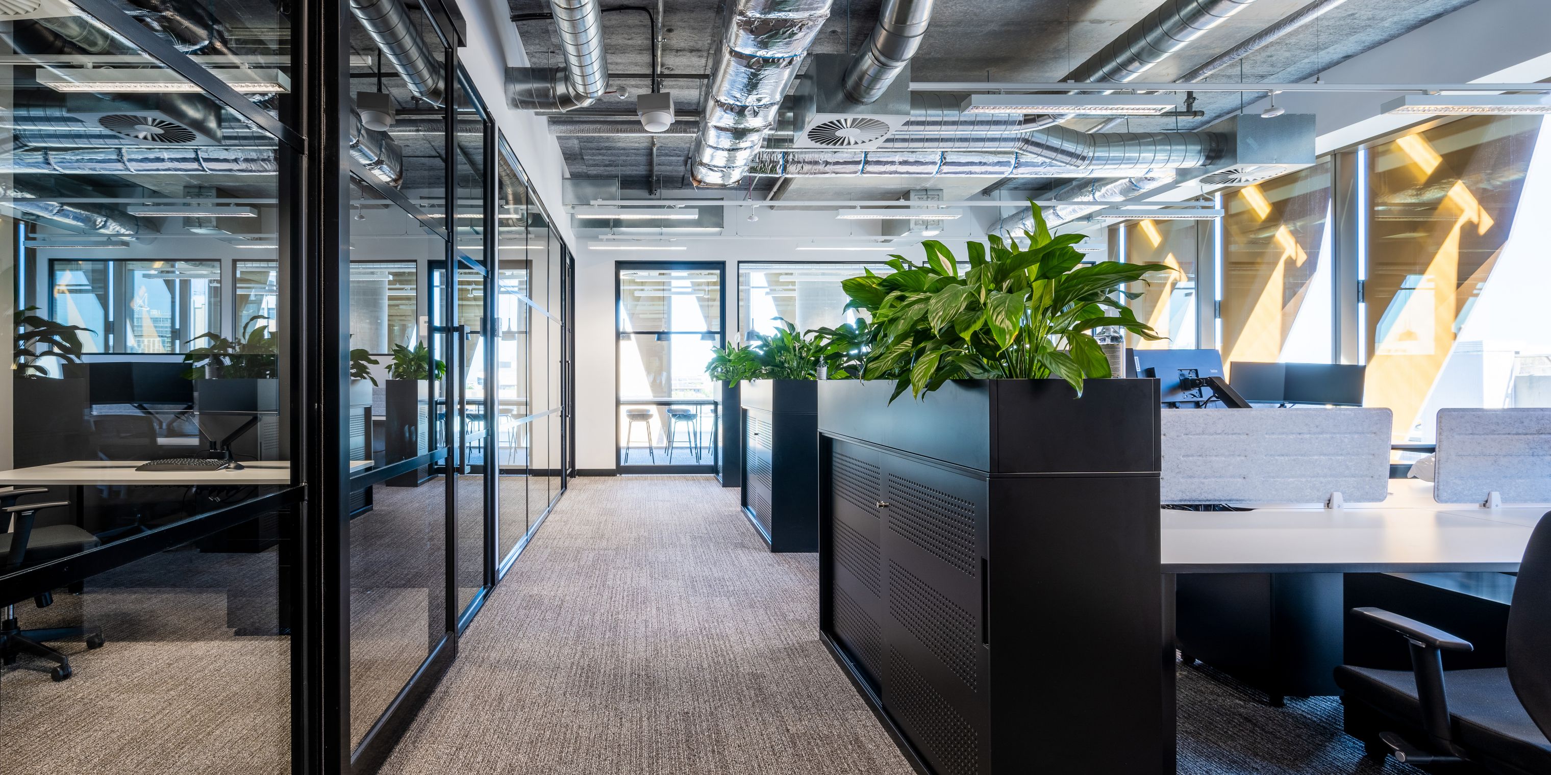 Work | Canopy Fitouts