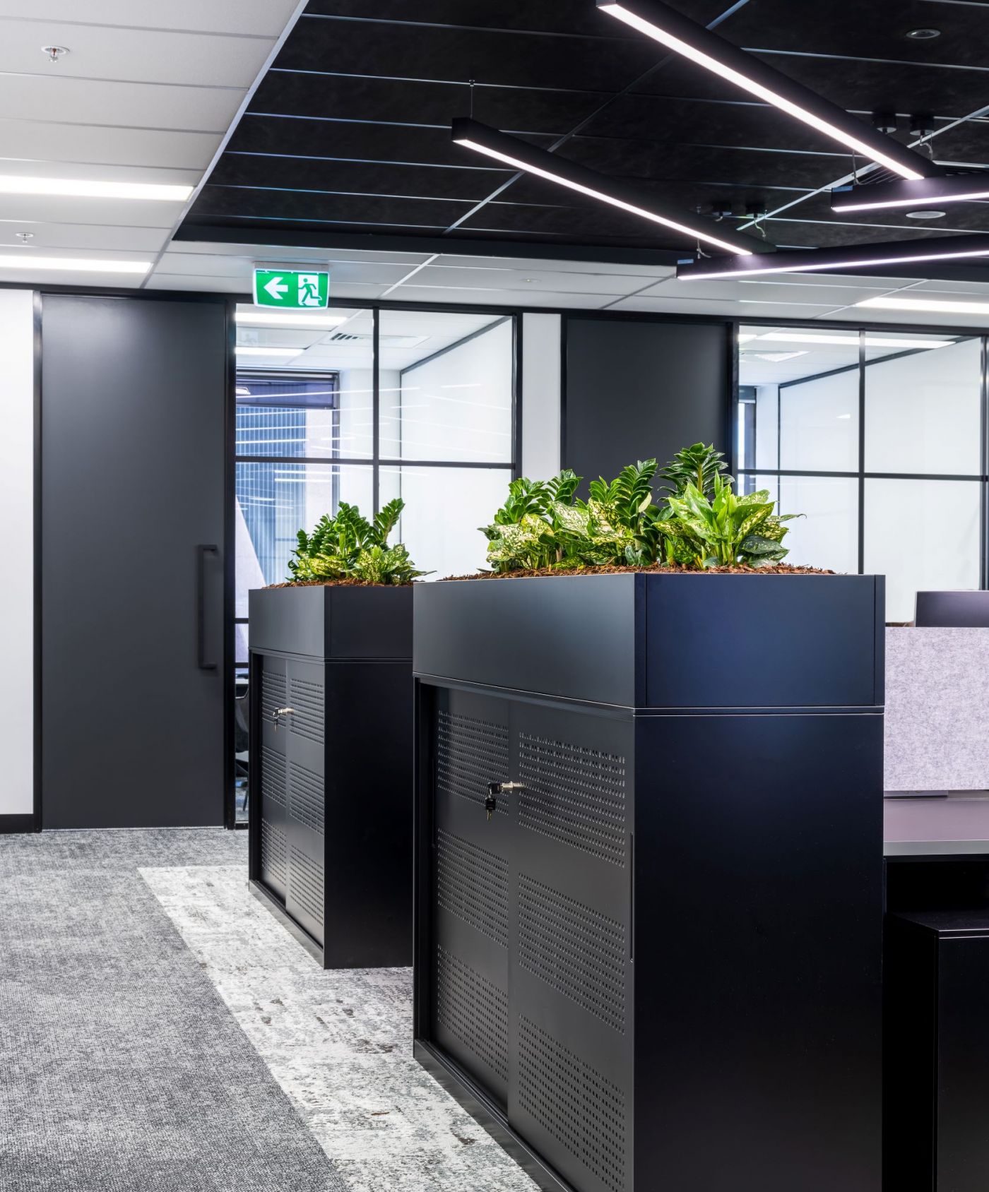 SBA Law | Office Fitout | Canopy Fitouts