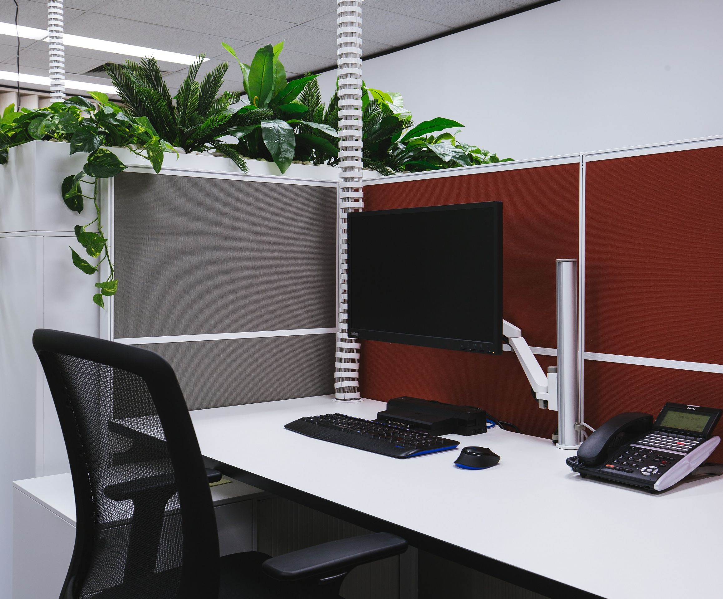 Commercial & Office Fitouts Melbourne | Canopy Fitouts