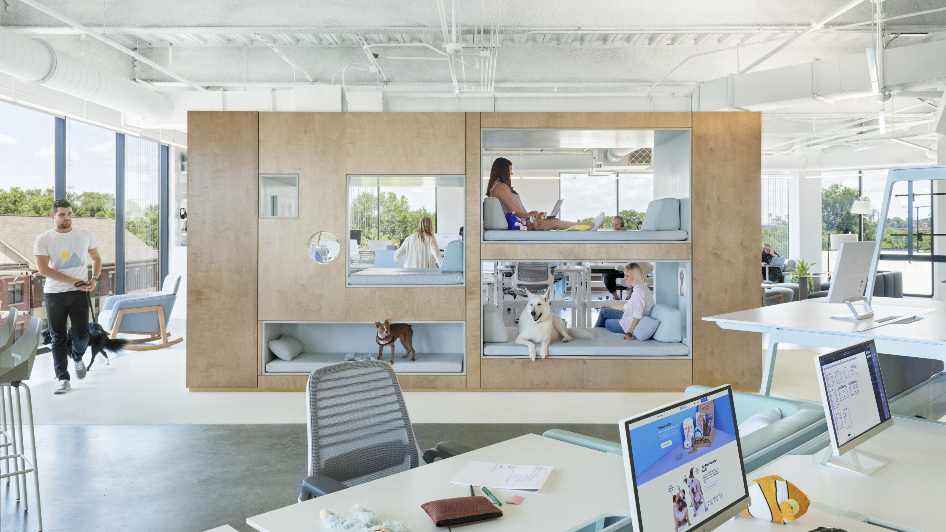 11 Best Office Design Ideas