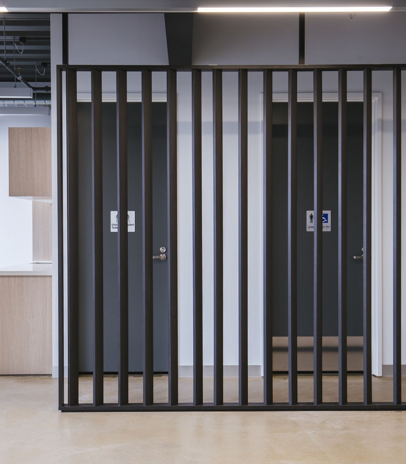 Loft Quarries | Office Fitout | Canopy Fitouts