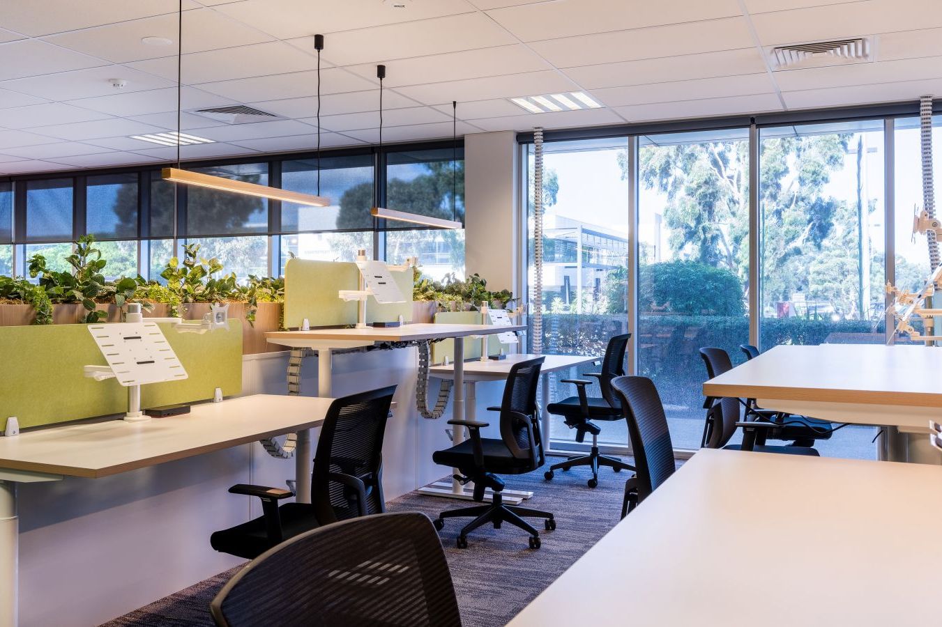 The Only Café Layout Guide You’ll Ever Need