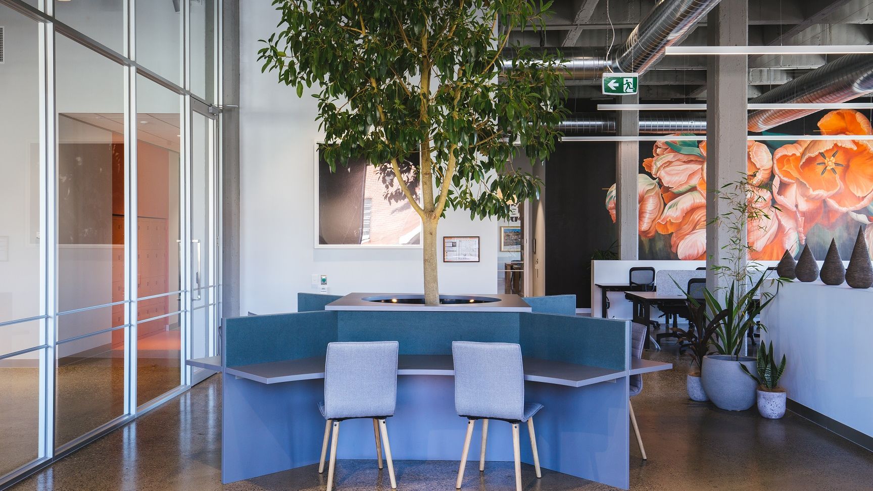 Our Community House | Office Fitout | Canopy Fitouts